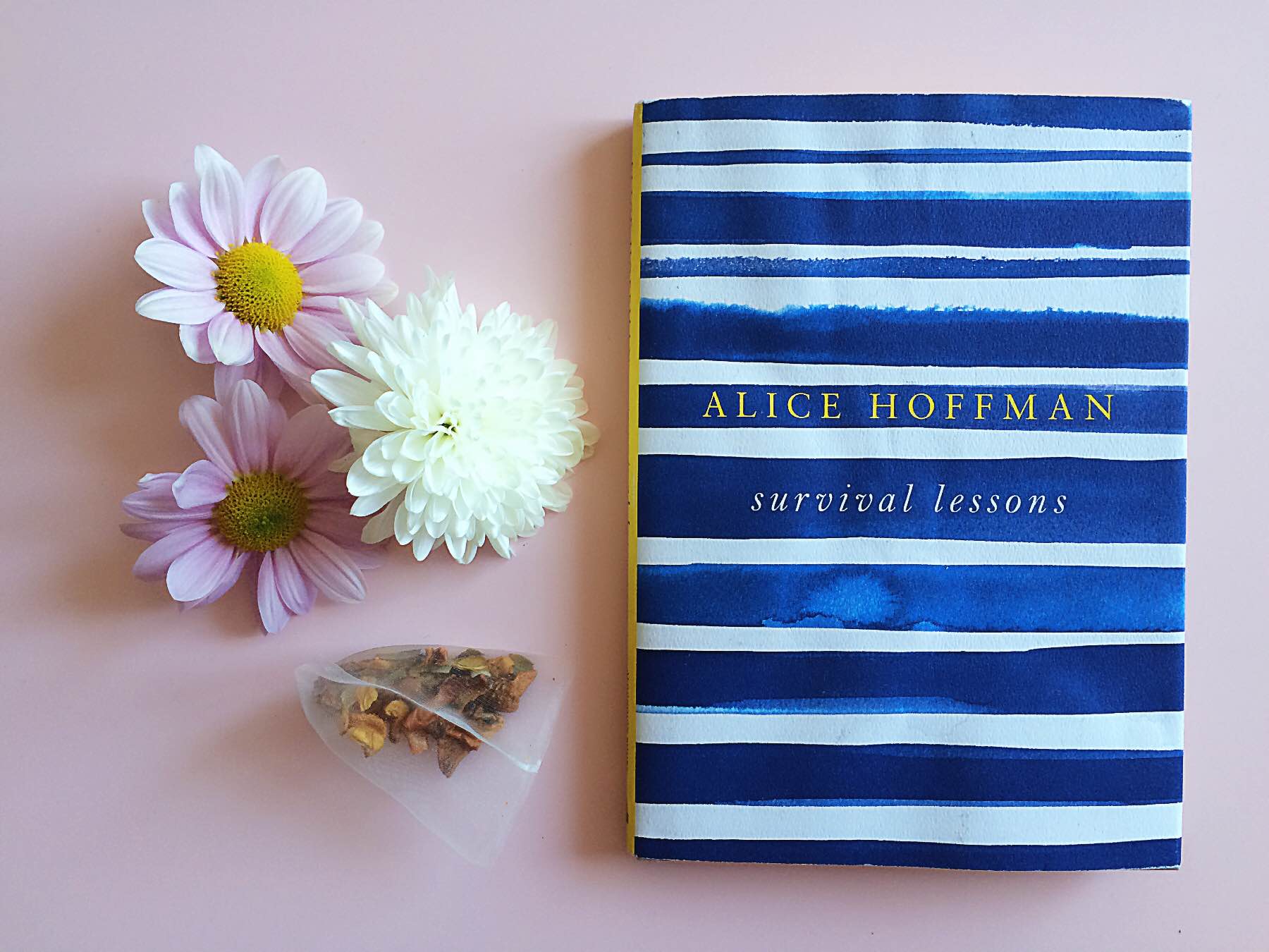 Survival Lessons with writer Alice Hoffman – CravenWild