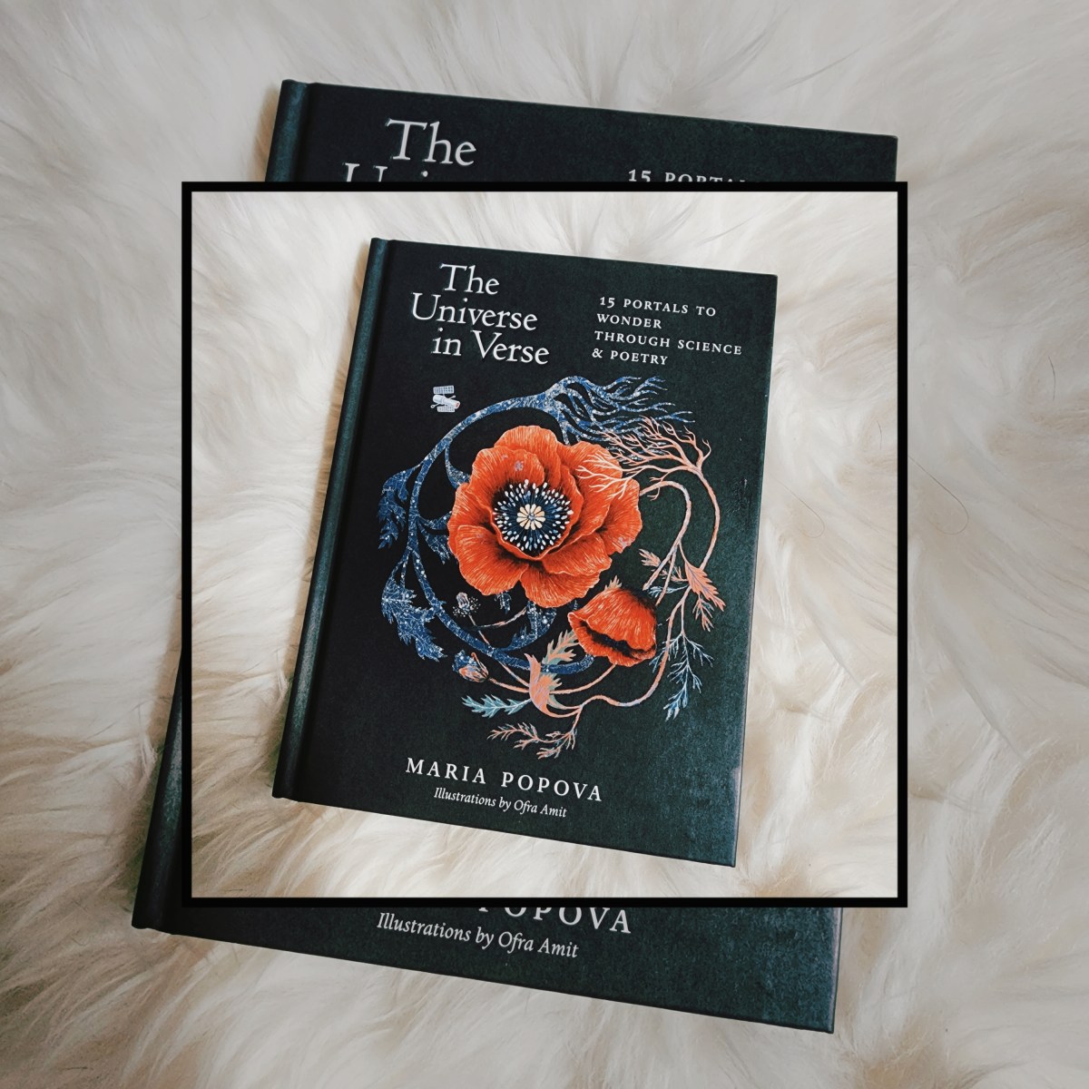 The Universe In Verse by Maria Popova – CravenWild